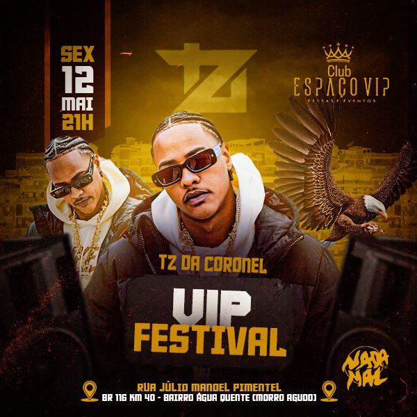 Vip Festival - Guiche Web