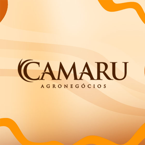 Camaru - Uberlândia - Guiche Web
