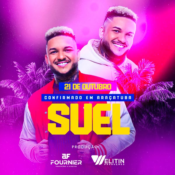 Suel - Guiche Web